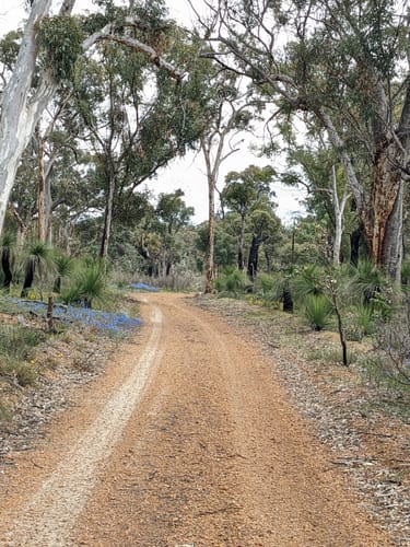 Best Hikes and Trails in Wandoo National Park | AllTrails