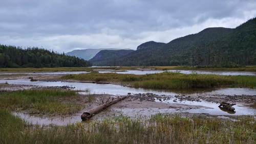 2023 Best River Trails in Glenburnie-Birchy Head-Shoal Brook | AllTrails