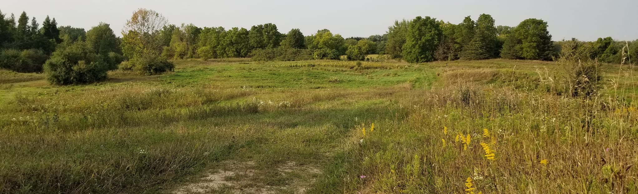 Hullett Marsh Green Trail: 11 Reviews, Map - Ontario, Canada | AllTrails