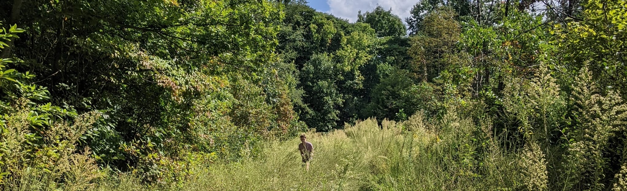 Ravinia Woods via Duckworth Rd, Indiana - 49 Reviews, Map | AllTrails