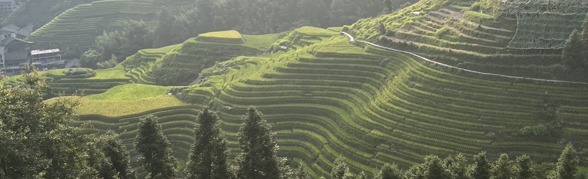 Ping’An - Rice Terrace, Guangxi, China - 5 Reviews, Map | AllTrails