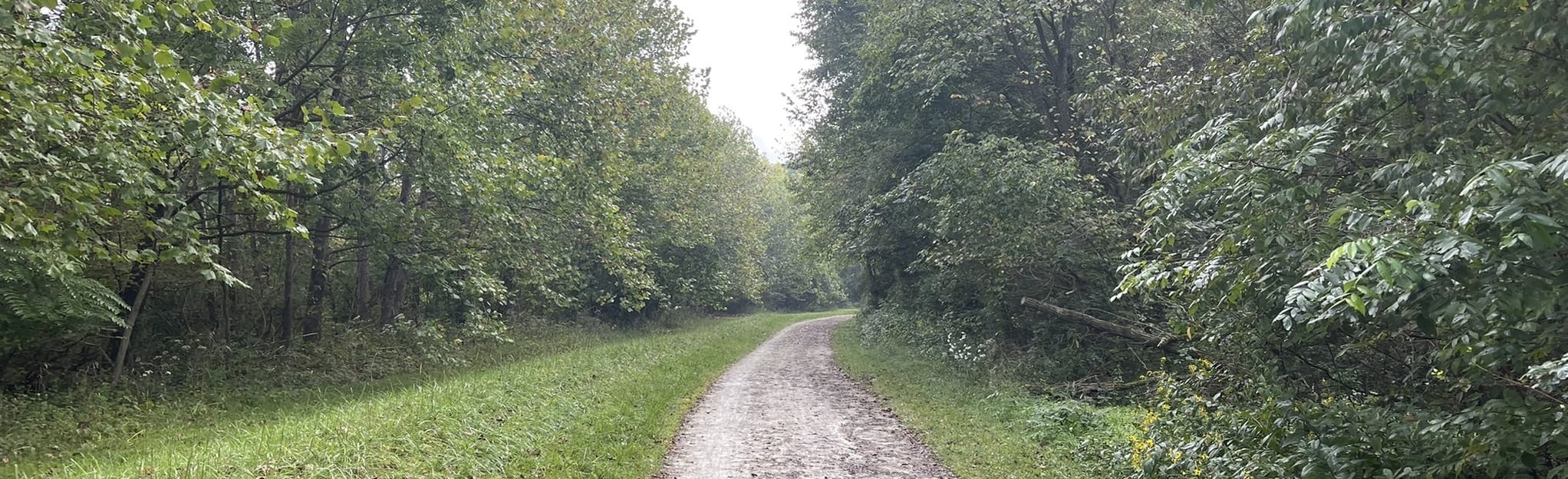 Panhandle Trail-Walkers Mill To Gregg Station: 391 Reviews, Map ...