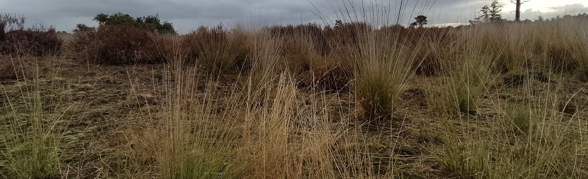 Fietsroute Loon op Zand - Oudheusden: 112 foto's - Noord-Brabant ...