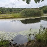 Pawcatuck River Loop, Rhode Island - 221 Reviews, Map | AllTrails