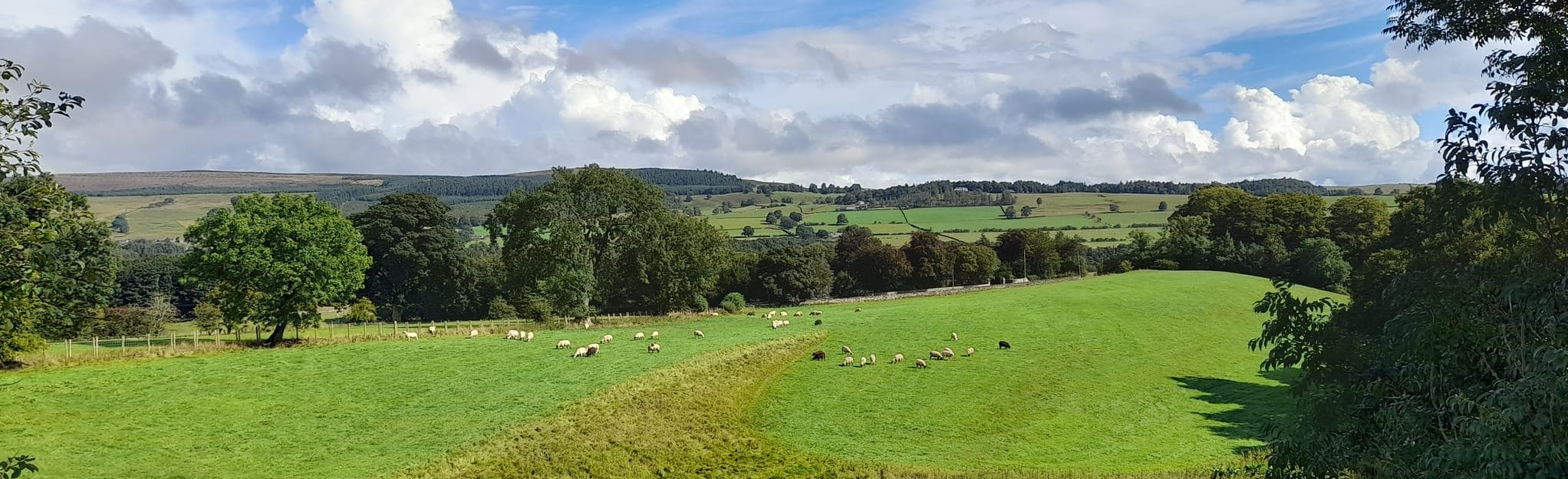 Tees Railway Path, County Durham, England - 8 Reviews, Map | AllTrails