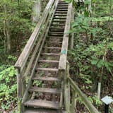 Longwoods Road Conservation Area, Ontario, Canada - 311 Reviews, Map ...