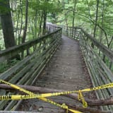 Longwoods Road Conservation Area, Ontario, Canada - 311 Reviews, Map ...
