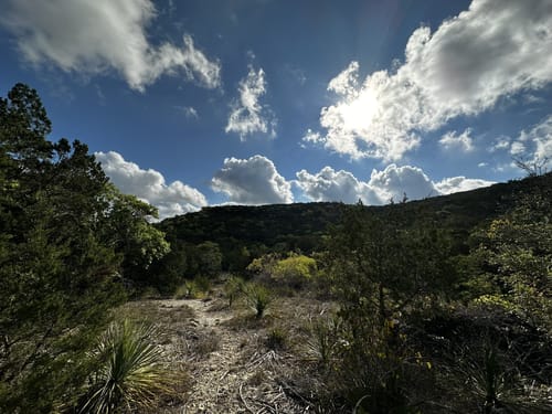 2023 Best Forest Trails in Helotes | AllTrails