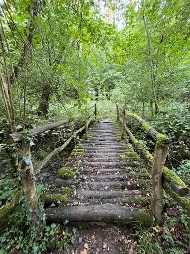 Best Hikes and Trails in Réserve Naturelle de Montenach | AllTrails