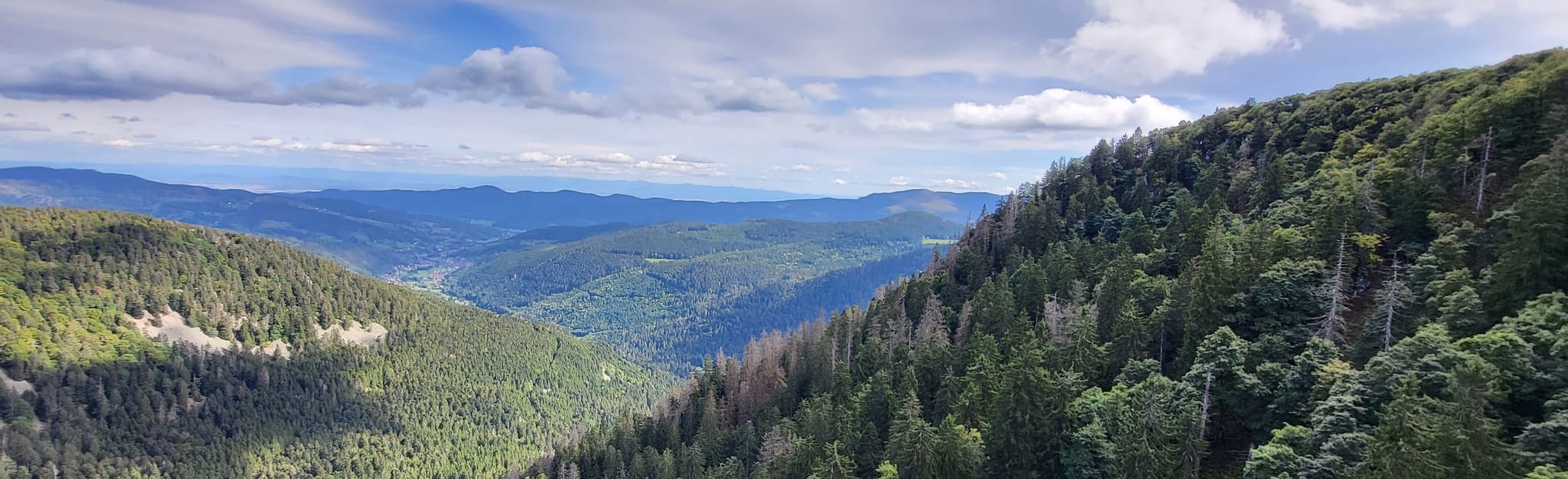 Le Collet - La Schlucht - Col du Falimont: 141 foto - Vosgi, Francia ...