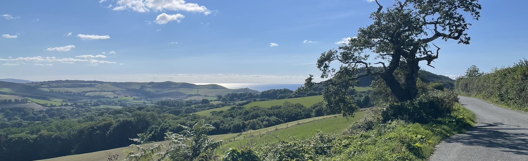 Stonebarrow Hill, Golden Cap and Hardown Hill Circular: 20 Reviews, Map ...