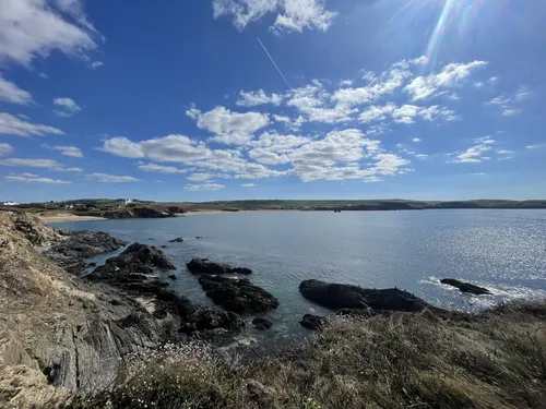 10 Best Trails, Walks, and Paths in Kingsbridge | AllTrails