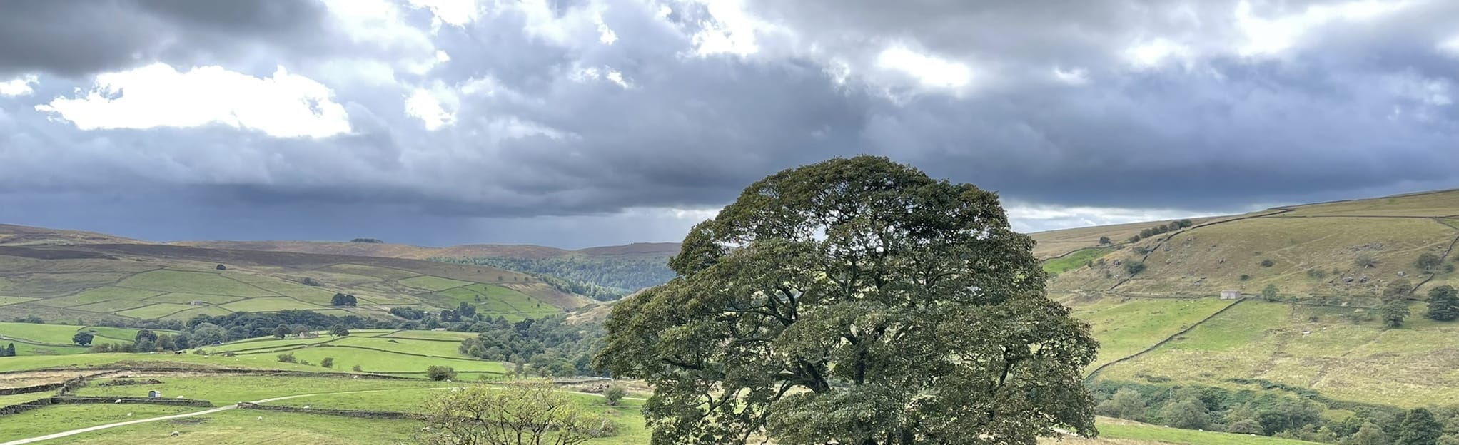 Three Shires Circular, Cheshire, England - 101 Reviews, Map | AllTrails