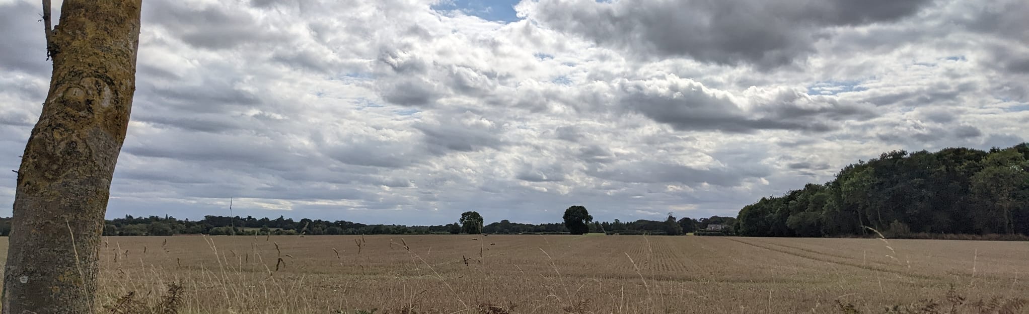 Bergh Apton Circular, Norfolk, England - 11 Reviews, Map | AllTrails