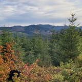 Hidden Falls via Tarbell Trail , Washington - 597 Reviews, Map | AllTrails