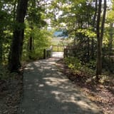 Great Marsh Trail, Virginia - 78 Reviews, Map | AllTrails