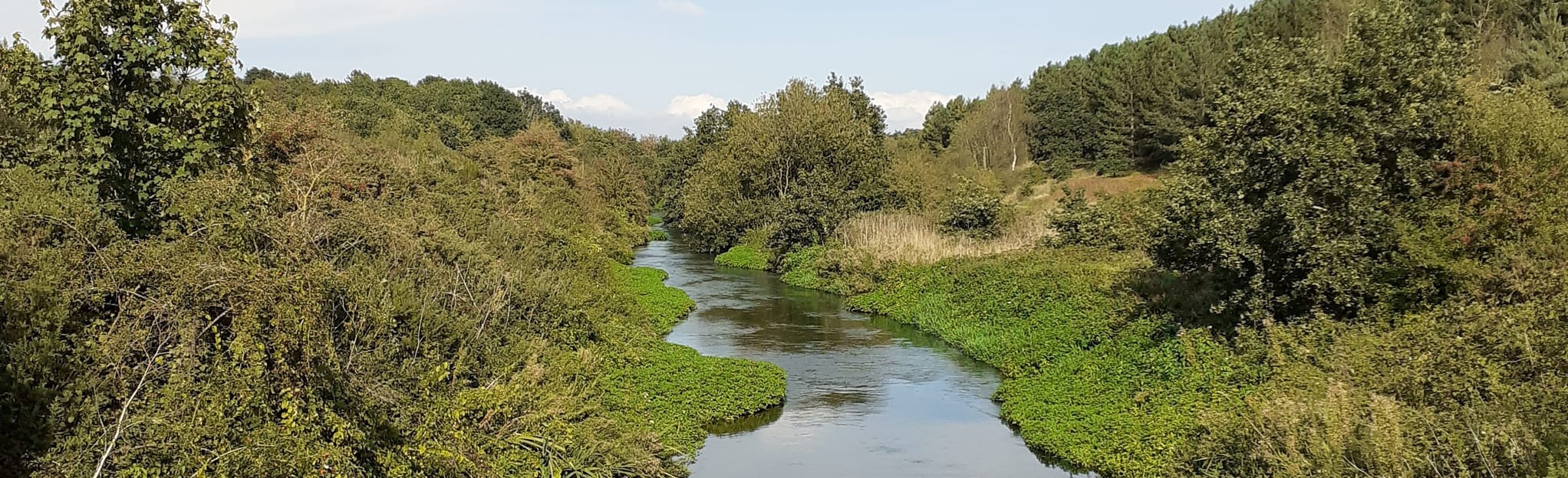 Bevercotes Pit Wood and River Meden Circular - Nottinghamshire, England ...