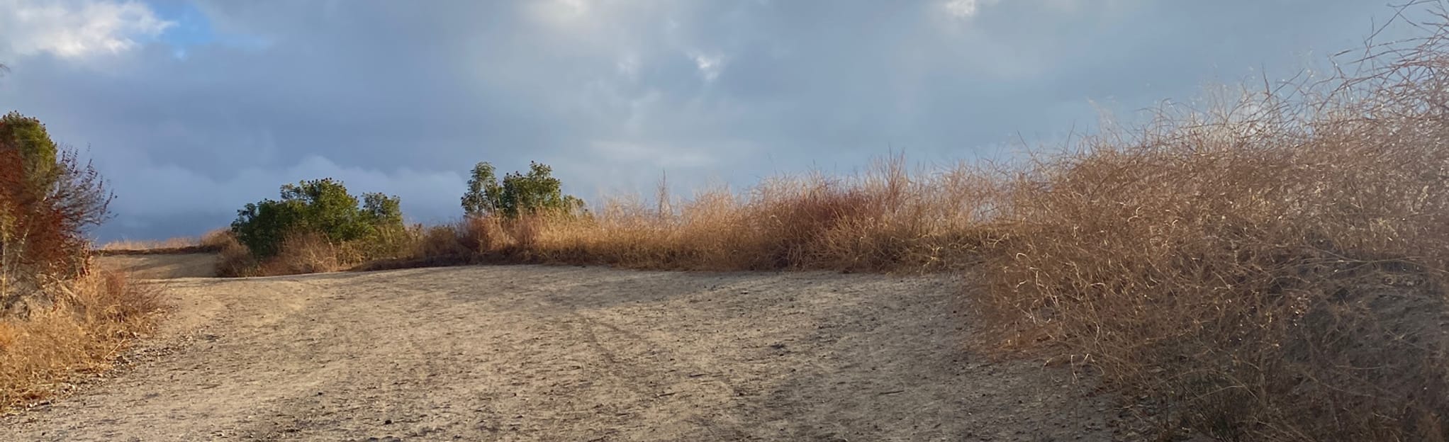 Hostetter Fire Road Loop - California | AllTrails