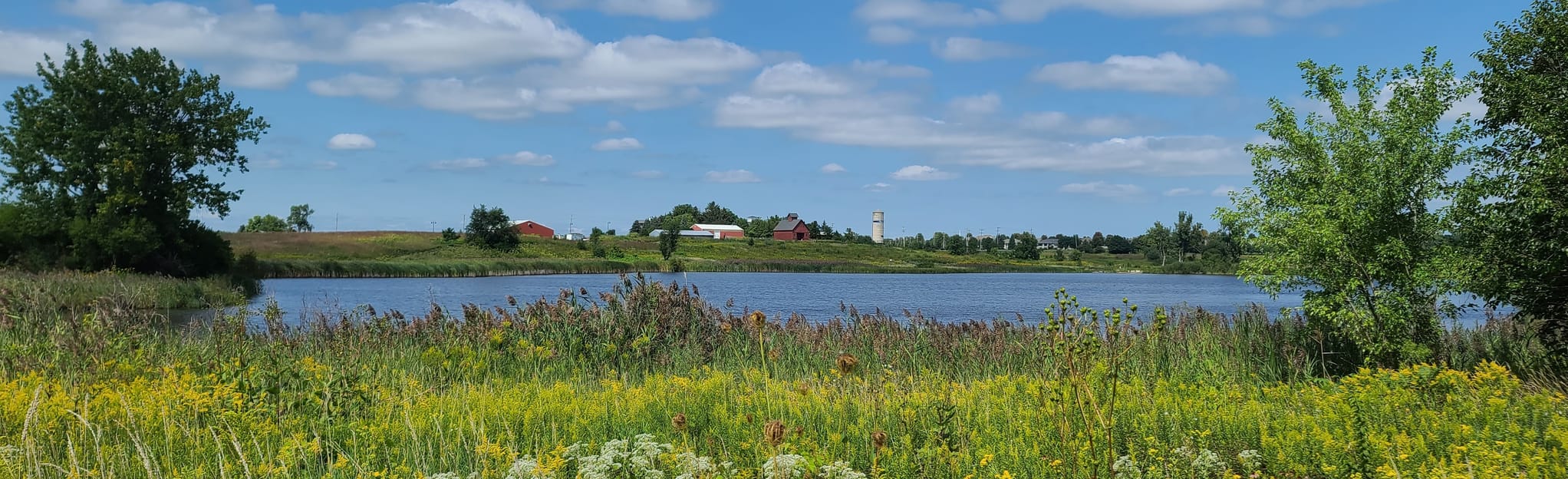 Peck Farm Loop: 211 Reviews, Map - Illinois | AllTrails
