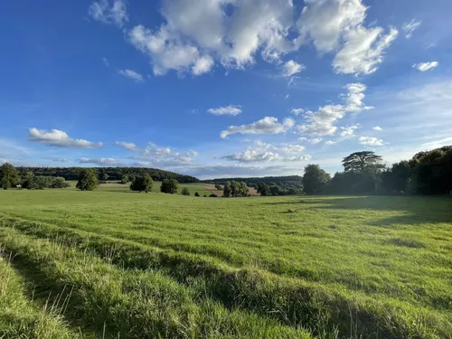 10 Best Forest Trails in Martin Down National Nature Reserve | AllTrails