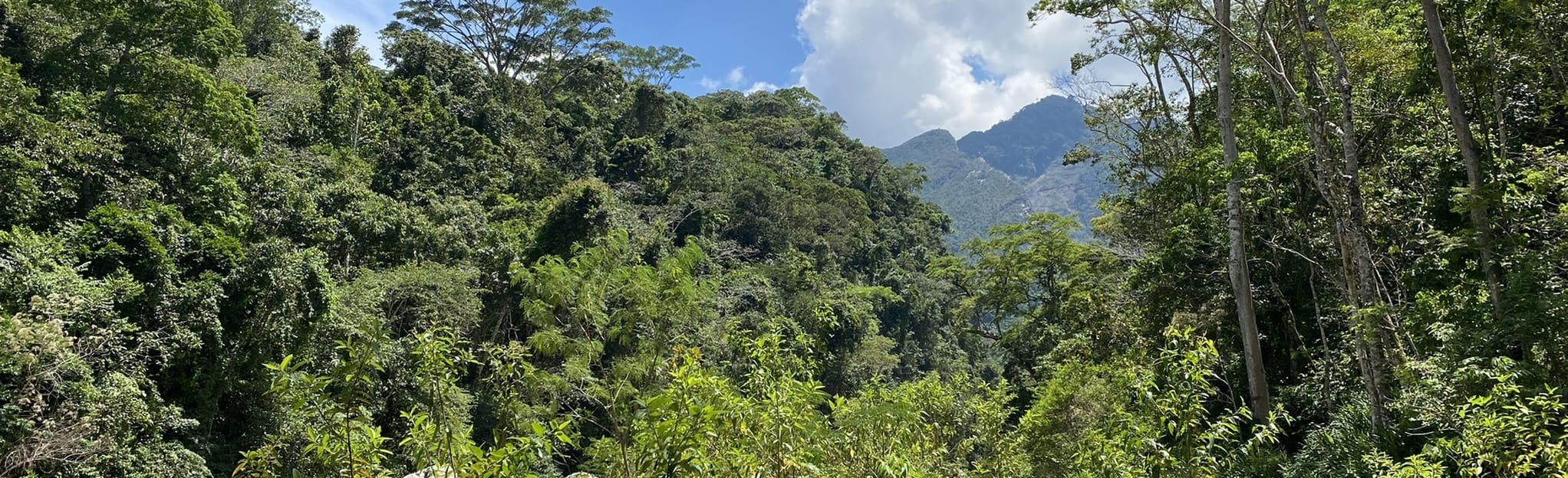 Huacamaillo Waterfall: 2 Reviews, Map - Lima, Peru | AllTrails