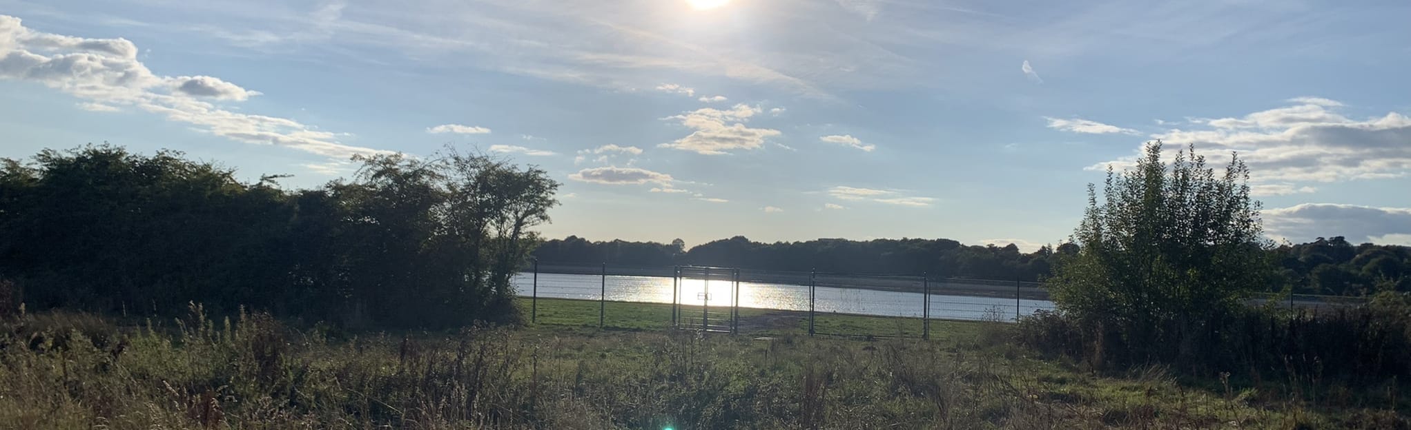 Pentwyn, Black Oak Nature Reserve and Llanishen Reservoir Circular: 5 ...