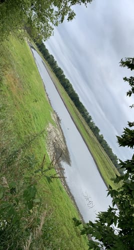 Best Hikes and Trails in Cedar River Crossing Conservation Areaß ...