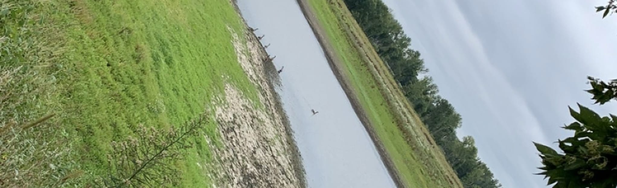 Cedar River Crossing Conservation Area Loop: 8 Reviews, Map - Iowa ...