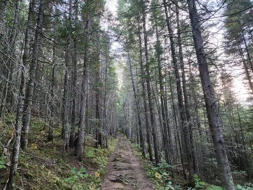 2023 Best Waterfall Trails in Matapedia | AllTrails