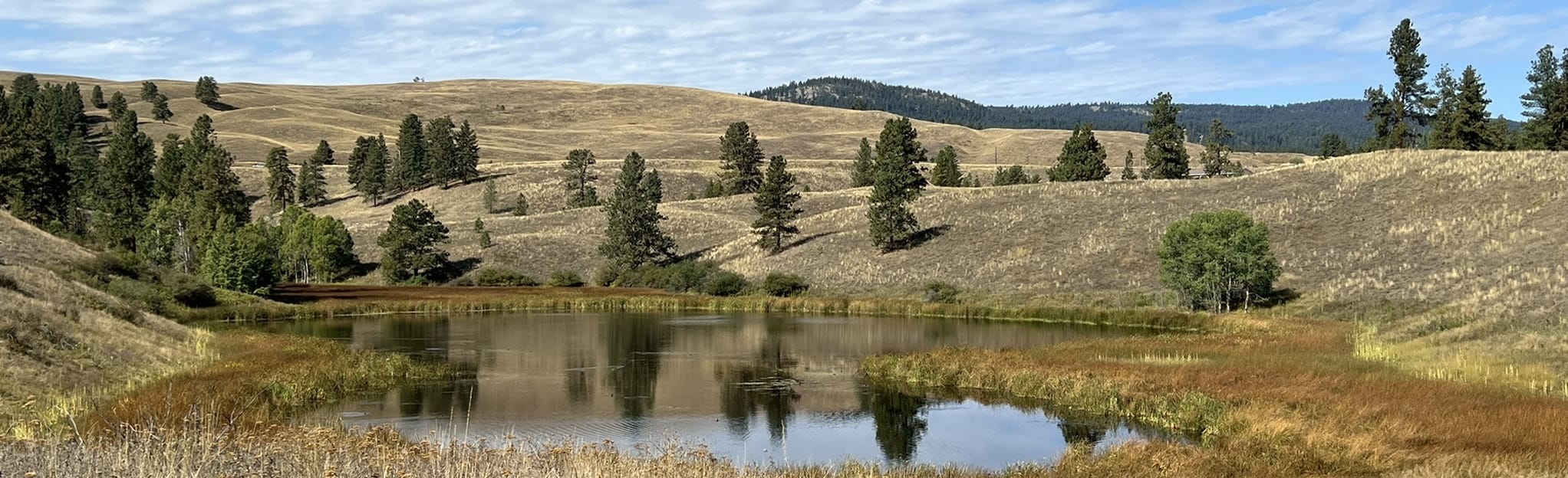 Swan Lake Wildlife Refuge: 35 Reviews, Map - British Columbia, Canada ...