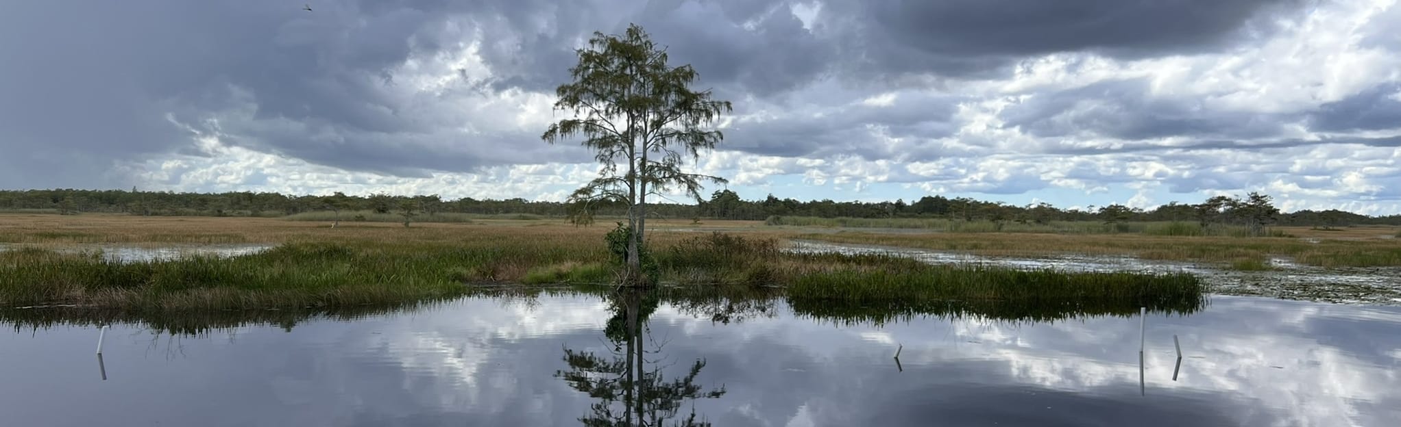 Owahee Trail via SWA Greenway Trail South Entrance, Florida - 92 ...