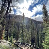 Grandaddy Basin Loop, Utah - 72 Reviews, Map | AllTrails