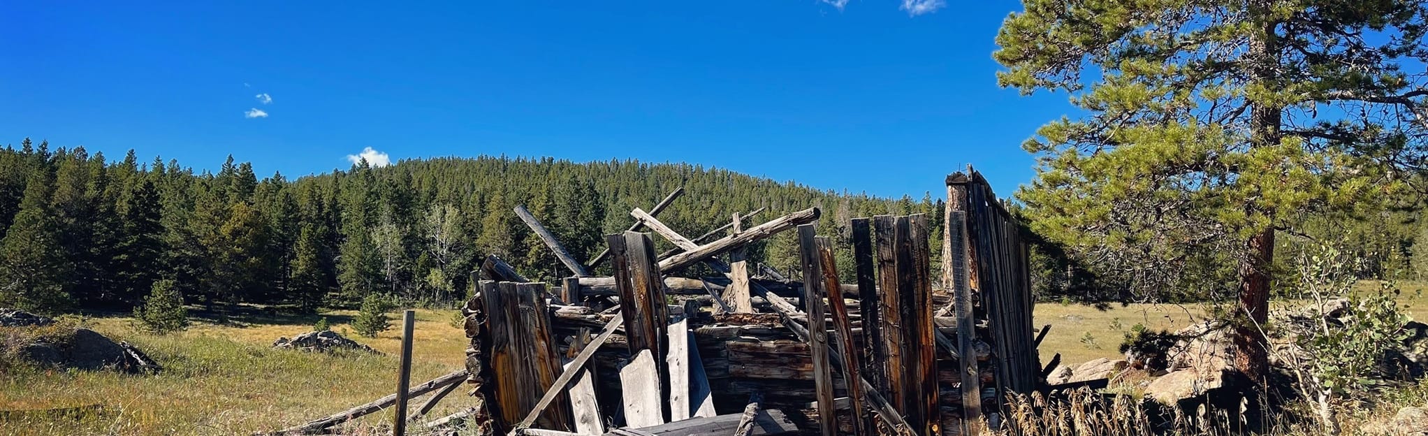 Homestead Meadows to Irvin Homestead: 227 Reviews, Map - Colorado ...