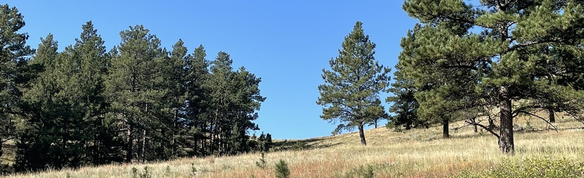 Sanctuary Trail and Centennial Trail Loop | Map, Guide - South Dakota ...