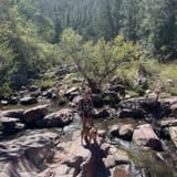 Box Canyon Trail, Arizona - 370 Reviews, Map | AllTrails