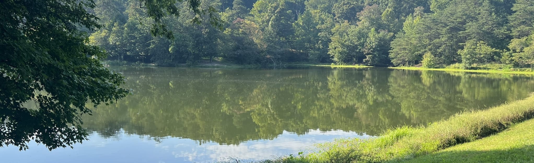 Siltstone Trail and Tom Wallace Lake Loop: 113 Reviews, Map - Kentucky ...