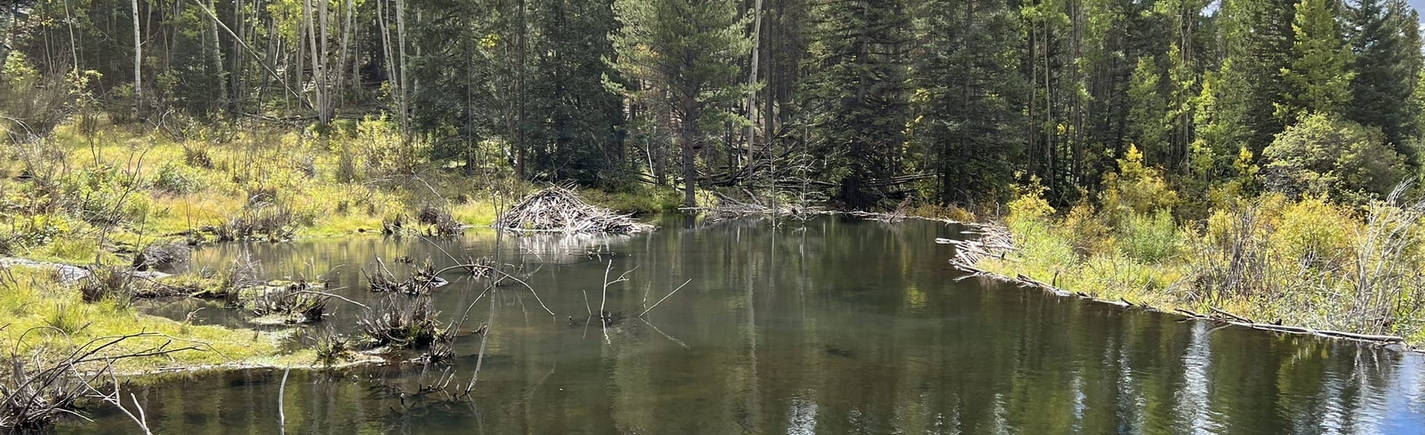 Mount Logan, Colorado - 28 Reviews, Map | AllTrails