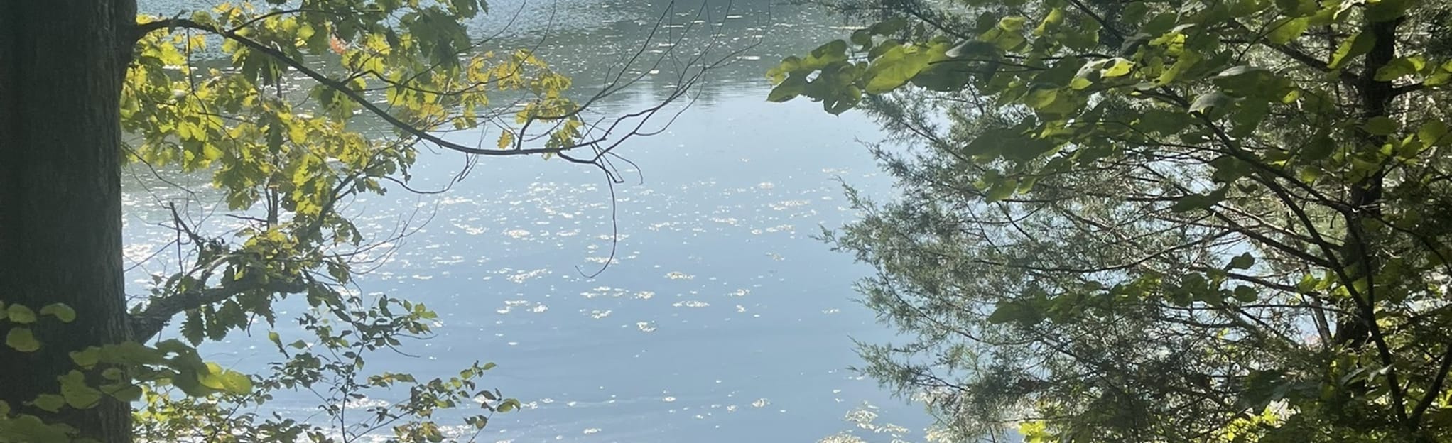 Spring Mill Lake Trail, Indiana - 203 Reviews, Map | AllTrails