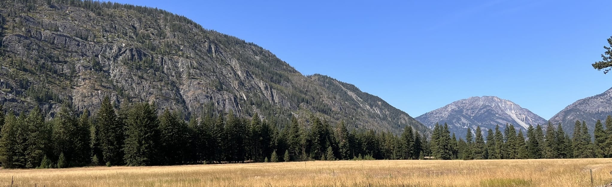 Lower River Run to Upper River Run Trail: 25 Reviews, Map - Washington ...