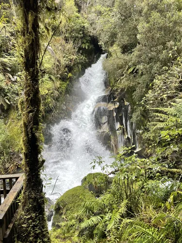 Best Waterfall Trails in Murupara | AllTrails