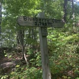 Pine Mountain State Scenic Trail: Highland Section, Kentucky - 51 ...