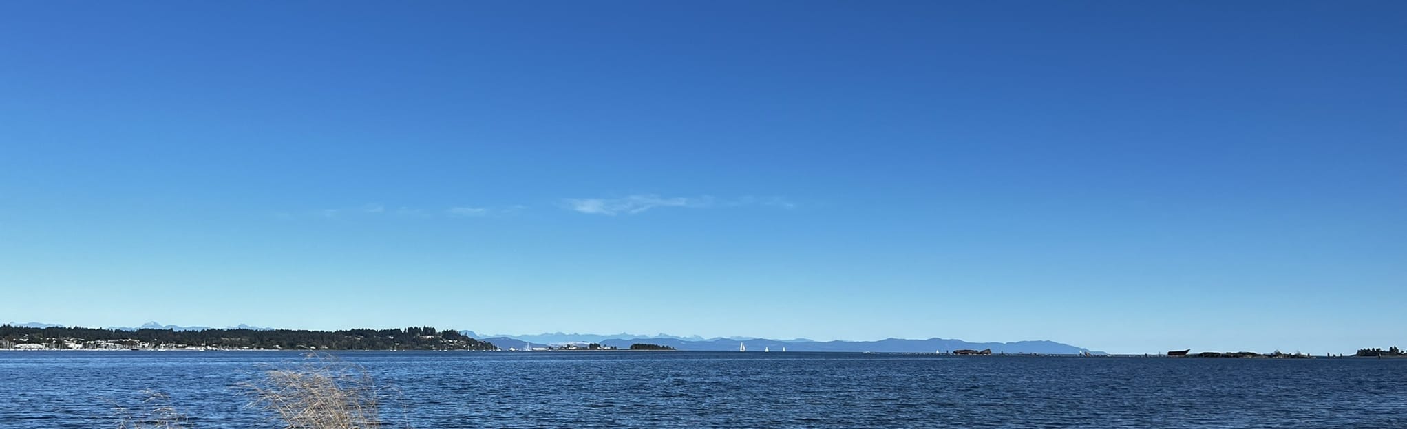 Royston Seaside Trail: 103 Reviews, Map - British Columbia, Canada ...