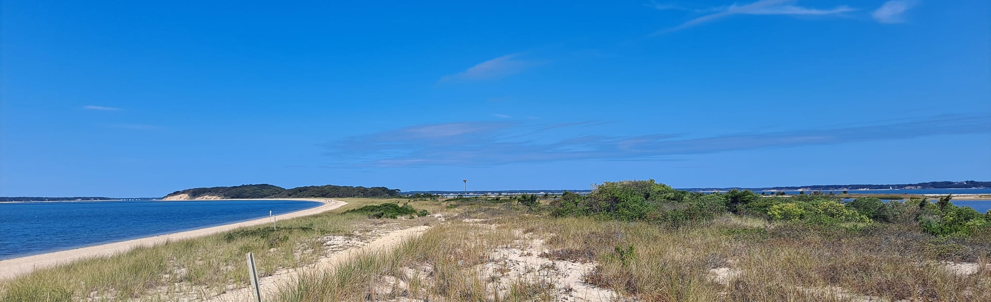Morton National Wildlife Trail: 259 Reviews, Map - New York | AllTrails