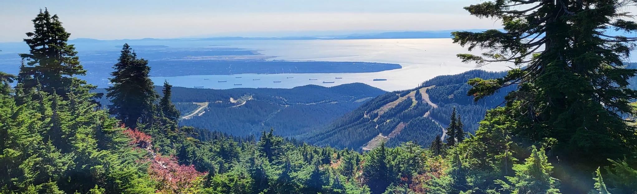 Mount Strachan Loop, British Columbia, Canada - 497 Reviews, Map ...