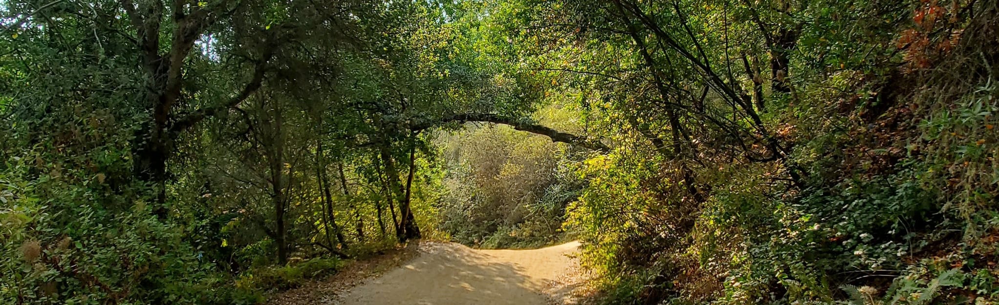 Stream Trail and West Ridge Trail Loop: 422 Reviews, Map - California ...