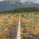 Mount Jumbo (Bradley) Trail, Alaska - 213 Reviews, Map | AllTrails