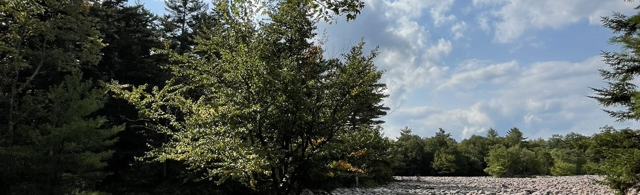 Boulder Field Trail: 886 Reviews, 788 Photos, Map - Pennsylvania ...