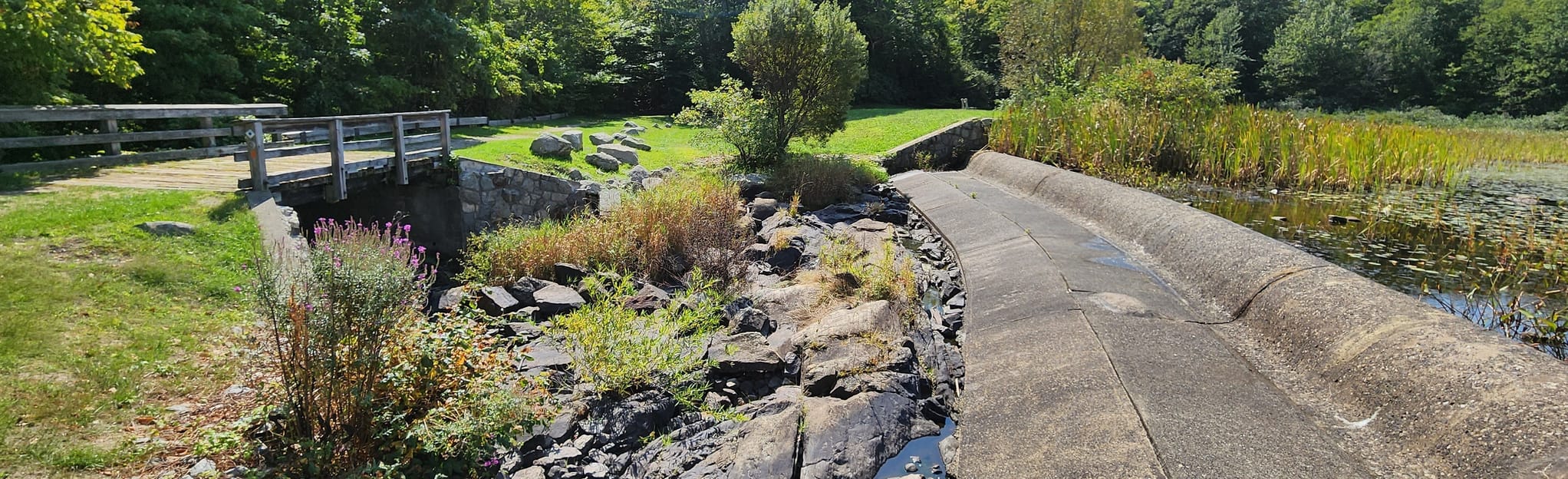 Cherry Ridge, Laurel Pond, Wingdam, Black Eagle and W. Hoeferlin Trail ...