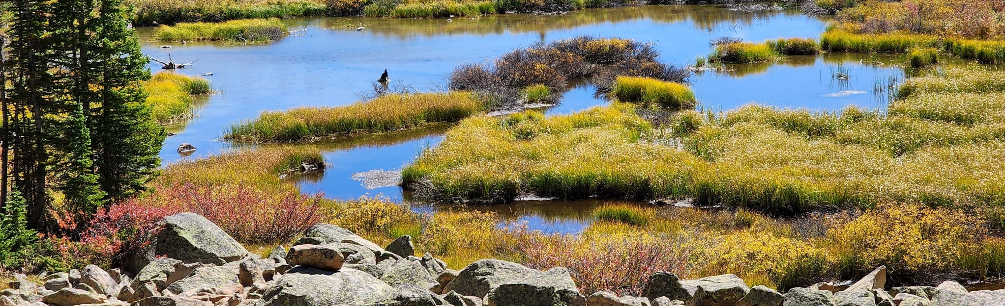 Bear Lake Trail: 43 Reviews, Map - Colorado | AllTrails