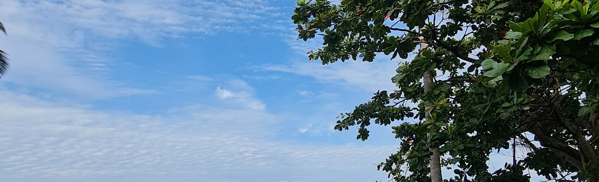 Kampung Nipah - Paya, Johor, Malaysia - Map, Guide | AllTrails